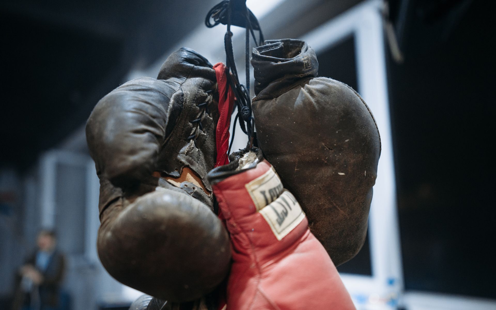 Boxing Equipment List to Start a Boxing Gym in 2025 - WodGuru