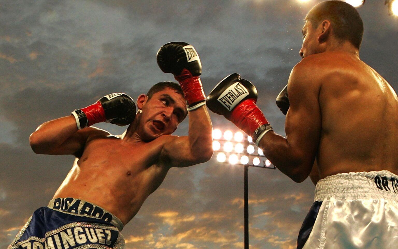 Boxing Equipment List to Start a Boxing Gym in 2025 - WodGuru