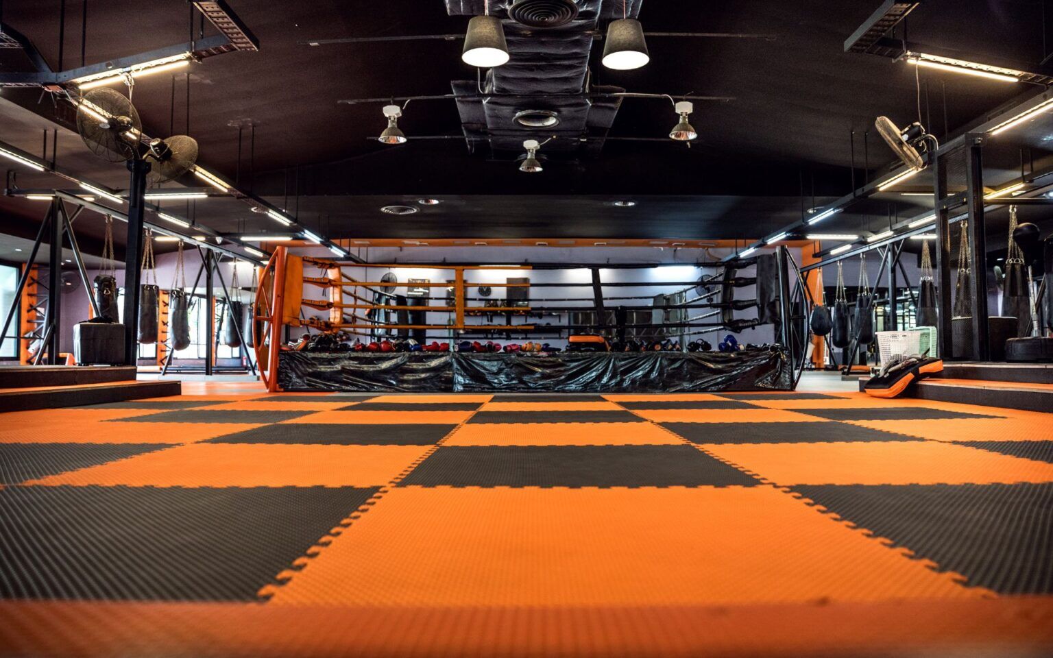 How to Open a Boxing Gym: 13 Steps to Knockout Success in 2025 - WodGuru