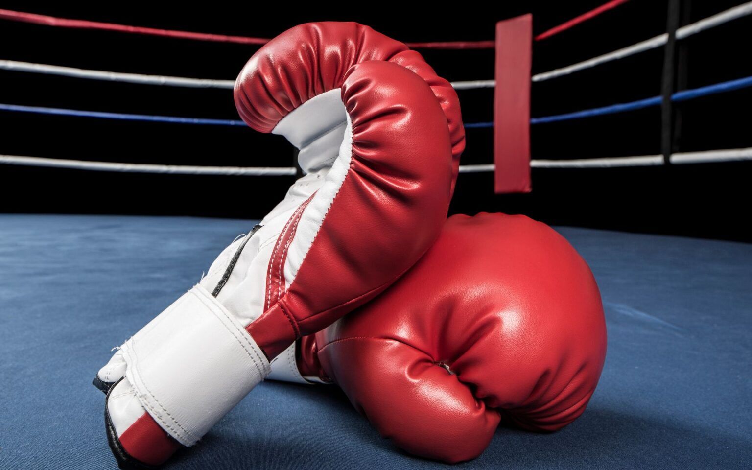 Boxing Equipment List to Start a Boxing Gym in 2025 - WodGuru