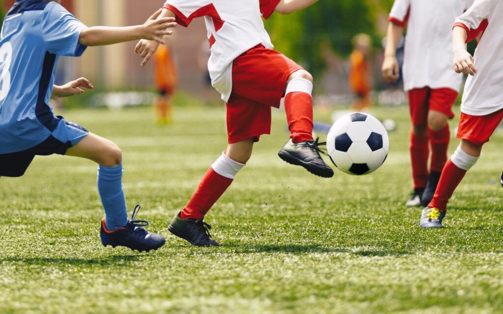 6 Best Youth Sports Club Management Software (Tried & Tested) - WodGuru